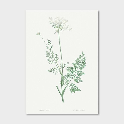 Постер для интерьера Postermarkt, Иллюстрация Растения №1, 70х100 см