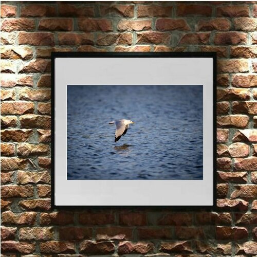 Постер "Птица над водой" Cool Eshe из коллекции "Природа", плакат А4 (29,7 х 21 см)