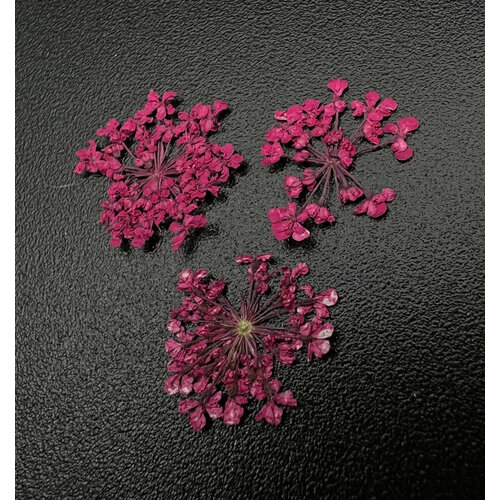 Сухоцветы Любимые цветочки Zoo Nail Art 1682