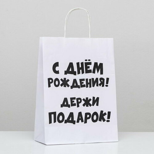 Пакет подарочный с приколами, крафт "Держи подарок", белый, 24 x 10.5 x 32 см, 1 шт