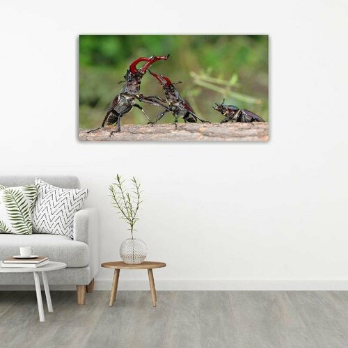 Картина на холсте 60x110 LinxOne "Жук-олень, насекомые, схватка, самец" интерьерная для дома / на стену / на кухню / с подрамником