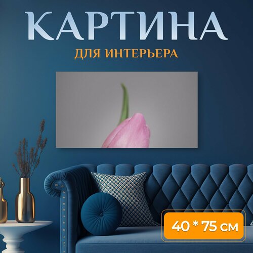 Картина на холсте "Тюльпан, цветок, розовый" на подрамнике 75х40 см. для интерьера