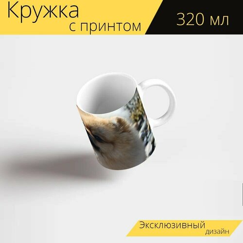 Кружка с рисунком, принтом "Миниатюрный шпиц, животные, породистый" 320 мл.