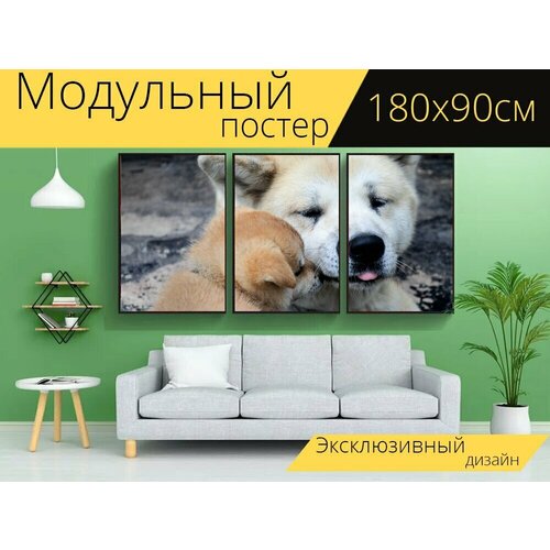 Модульный постер "Отец и сын, щенки, акитаину" 180 x 90 см. для интерьера