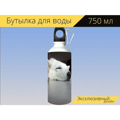 Бутылка фляга для воды "Швейцарская белая овчарка, белая собака, собака" 750 мл. с карабином и принтом