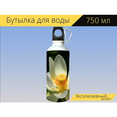 Бутылка фляга для воды "Лотос, цветы, лепестки" 750 мл. с карабином и принтом
