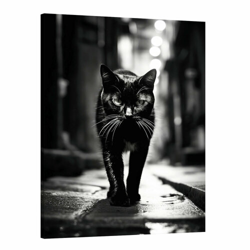 Интерьерная картина 50х70 "Кот и его ночные приключения"