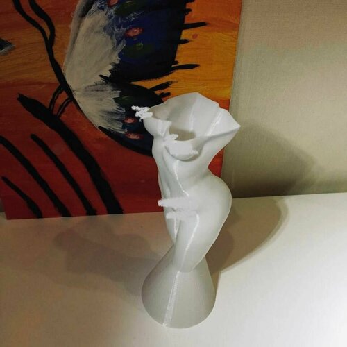 "Сухая" ваза интерьерная BODY (3D печать) (белая)