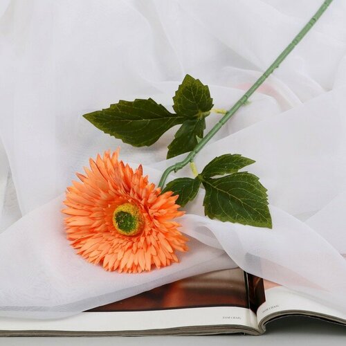 Poetry in flowers Цветы искусственные "Астра махровая" 46х10 см, оранжевый