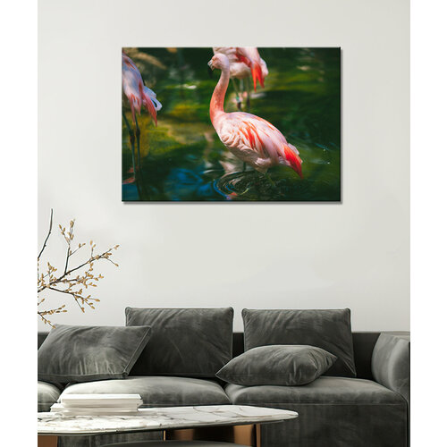 Картина/Фламинго/Розовый Фламинго/Фламинго в воде/ - Фламинго (12) 20х30