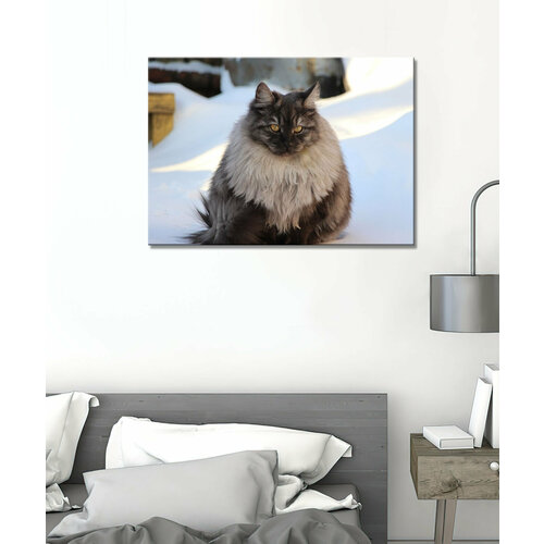 Картина - кошка, сибирская кошка, домашняя кошка, ласковая кошка, полудлинношёрстная кошка, кот (109) 30х40