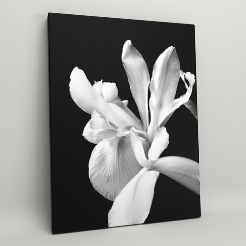Картина на холсте (интерьерный постер) "Черно - белый цветок №2" минимализм, с деревянным подрамником, размер 30x40 см