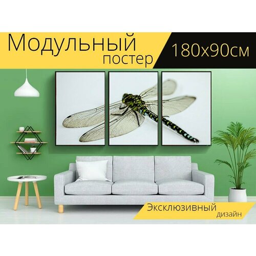 Модульный постер "Насекомое, стрекоза, закрывать" 180 x 90 см. для интерьера