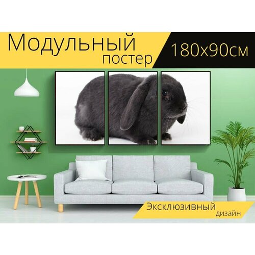 Модульный постер "Кролик, пасхальный заяц, домашний питомец" 180 x 90 см. для интерьера