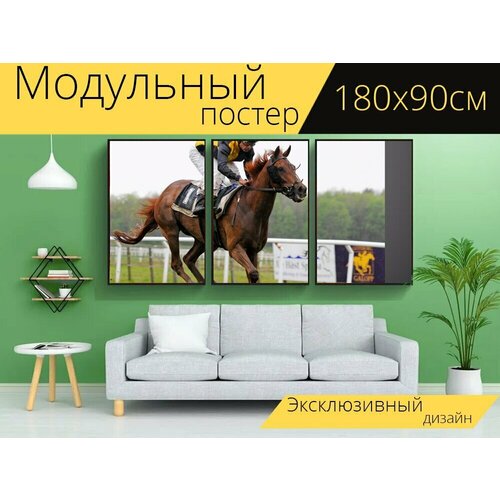 Модульный постер "Галопом, лошадь, скачки" 180 x 90 см. для интерьера