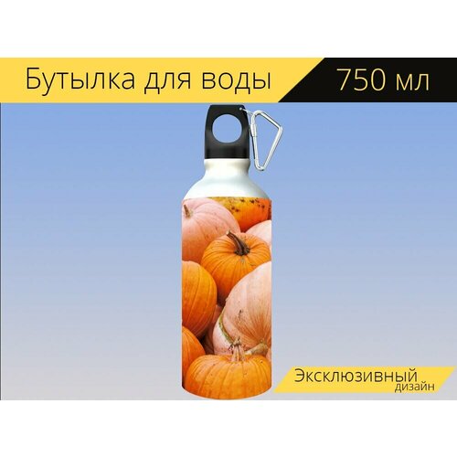 Бутылка фляга для воды "Тыква, урожай тыквы, овощи" 750 мл. с карабином и принтом