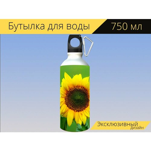 Бутылка фляга для воды "Подсолнечник, цветок, декоративный подсолнух" 750 мл. с карабином и принтом