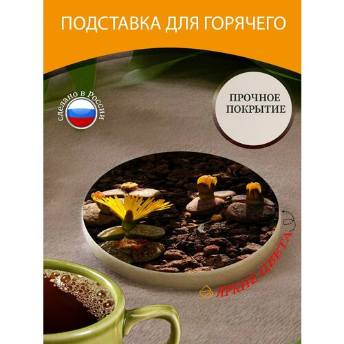 Подставка под горячее "Литопсы, живые камни, суккуленты" 10 см. из блого мрамора