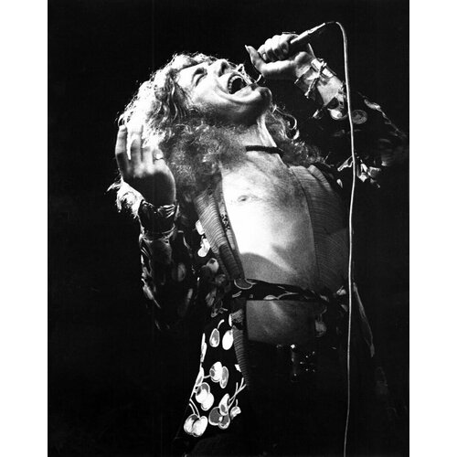 Плакат, постер на бумаге Led Zeppelin-Robert plant/Лед Зеппелин-Роберт Плант. Размер 21 х 30 см