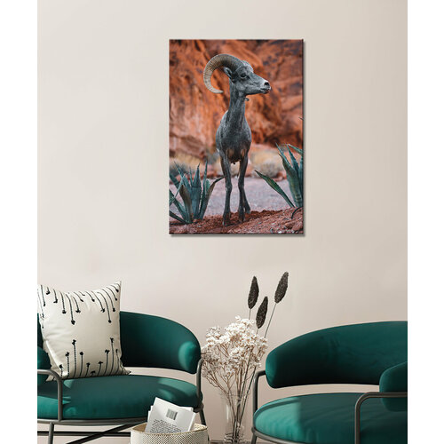 Картина -Козел, коза, дикий козел, рогатый козел, горный козел (3) 50х70