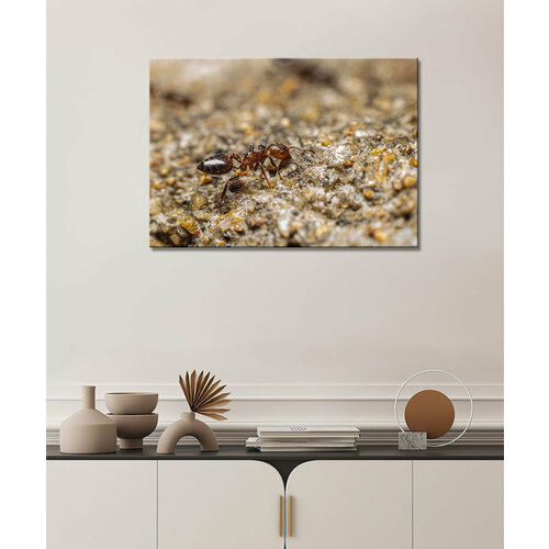 Картина -Муравей, муравей макро, муравей близко (28) 20х30