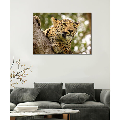 Картина/Ягур/Ягуар в джунглях/Ягуар на дереве/Черный ягуар/ - Ягуар (44) 40х60