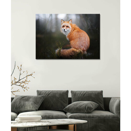Картина - Лиса, лис, лисы, лисичка, лисенок, лисица, рыжая лиса, лиса в лесу (64) 60х80