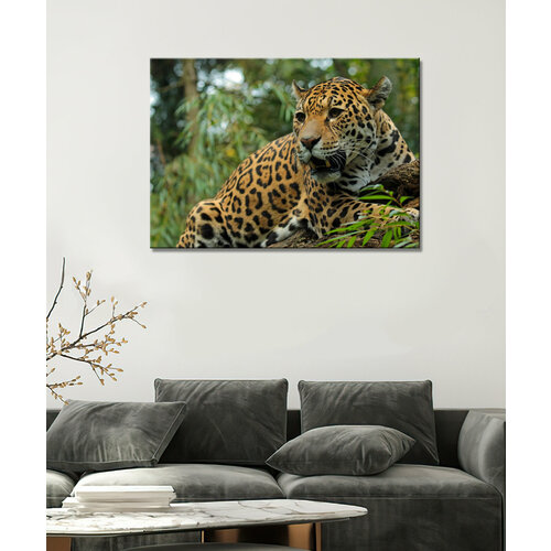 Картина/Ягур/Ягуар в джунглях/Ягуар на дереве/Черный ягуар/ - Ягуар (41) 50х70
