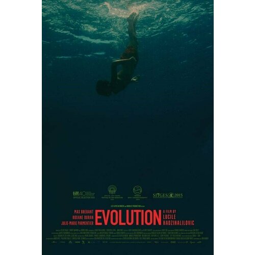 Плакат, постер на бумаге Эволюция (Evolution), Люсиль Адзиалилович. Размер 21 х 30 см