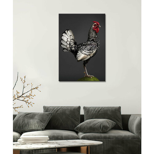 Картина - Курица, курицы, курочка, петух, петухи, красивые породы куриц, порода бентамка Сибрайт (1) 50х70