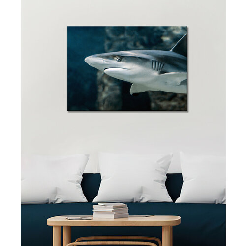 Картина -Акула, синяя акула, акула в море, акула в океане (3) 30х40
