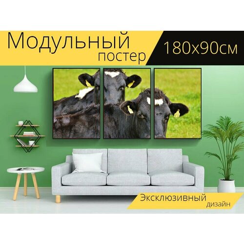 Модульный постер "Коровы, чернить, корова" 180 x 90 см. для интерьера