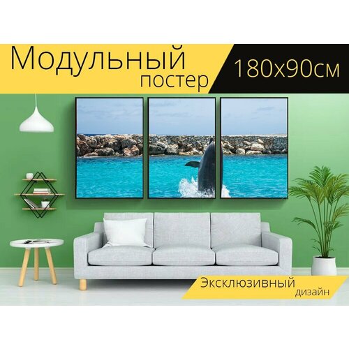 Модульный постер "Дельфины, аквариум, ходьба" 180 x 90 см. для интерьера