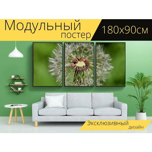 Модульный постер "Одуванчик, семена, остроконечный цветок" 180 x 90 см. для интерьера