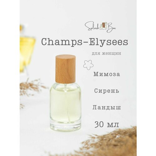 Champs Elysees духи стойкие