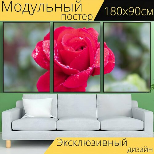 Модульный постер "Красная, роза, цветок" 180 x 90 см. для интерьера