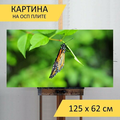 Картина на ОСП 125х62 см. "Бабочка монарх, бабочка, крылья" горизонтальная, для интерьера, с креплениями