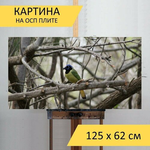 Картина на ОСП 125х62 см. "Зеленая сойка, птица, деревья" горизонтальная, для интерьера, с креплениями