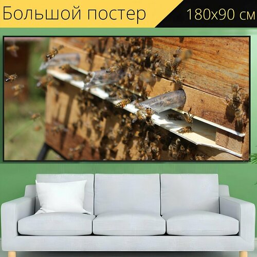 Большой постер "Пчела, пчелы, насекомые" 180 x 90 см. для интерьера