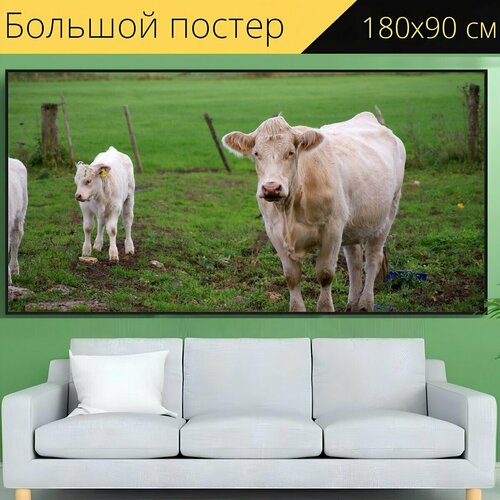 Большой постер "Корова, коровы, пастбище" 180 x 90 см. для интерьера