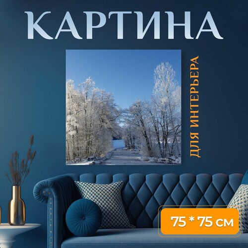 Картина на холсте "Зима, иней, холодный" на подрамнике 75х75 см. для интерьера