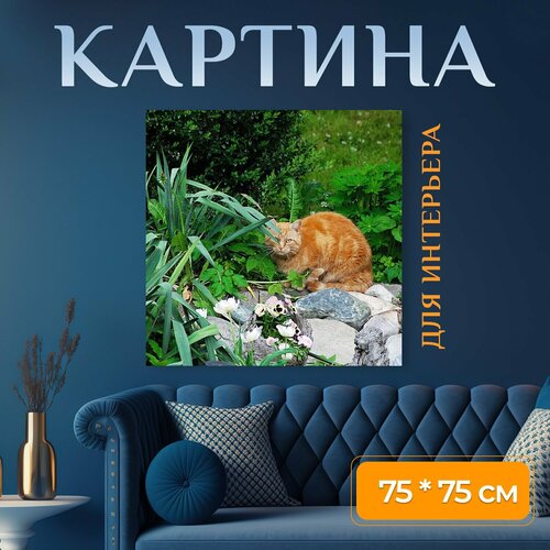 Картина на холсте "Кот, скрываясь, домашняя кошка" на подрамнике 75х75 см. для интерьера