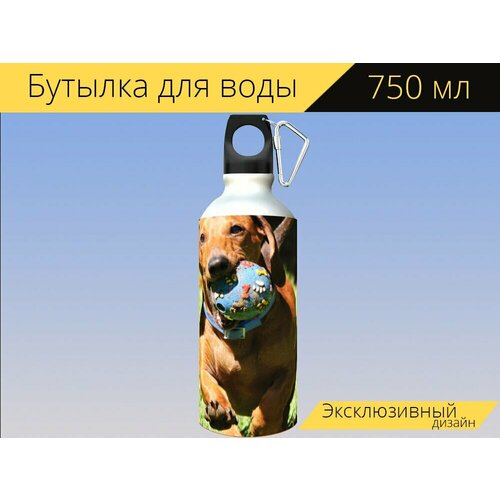 Бутылка фляга для воды "Такса, щенок, собака" 750 мл. с карабином и принтом