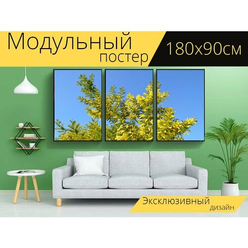 Модульный постер "Мимоза, цветок, жёлтый" 180 x 90 см. для интерьера