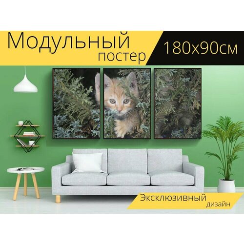 Модульный постер "Кот, котенок, младенец" 180 x 90 см. для интерьера
