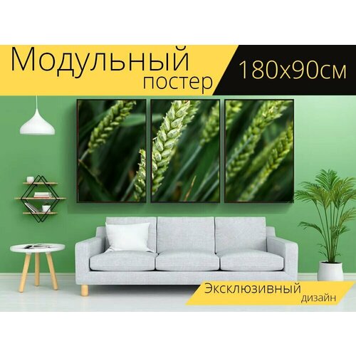 Модульный постер "Посевы, сельское хозяйство, зеленый" 180 x 90 см. для интерьера
