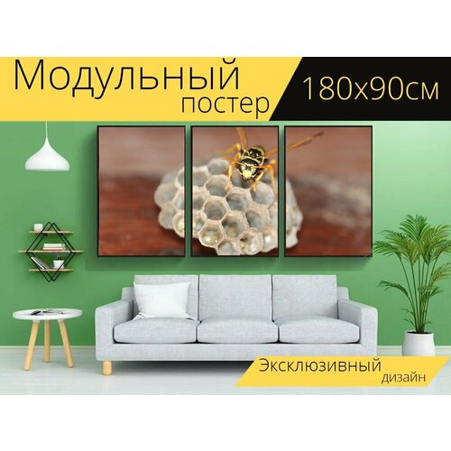 Модульный постер "Оса, шершень, насекомое" 180 x 90 см. для интерьера