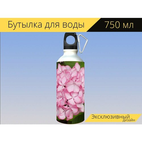 Бутылка фляга для воды "Гортензия, цветок, завод" 750 мл. с карабином и принтом