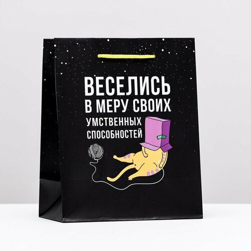 Пакет подарочный "Веселись", 18 х 22,3 х 10 см (комплект из 22 шт)