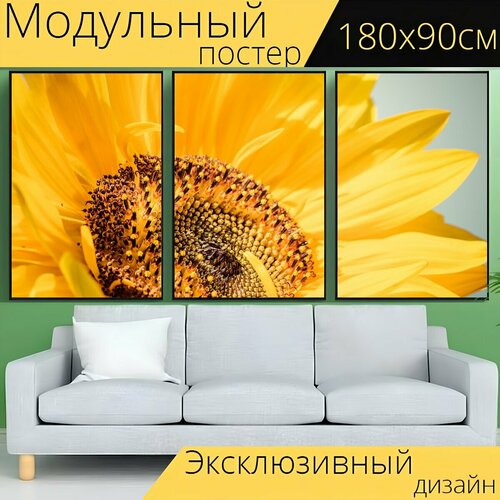 Модульный постер "Подсолнечник, жёлтый, солнце" 180 x 90 см. для интерьера